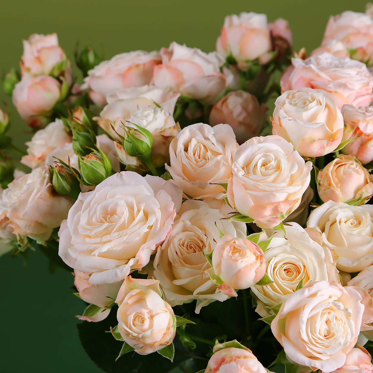 Bombastic roses in a vase ᐈ Buy with delivery | LoraShen